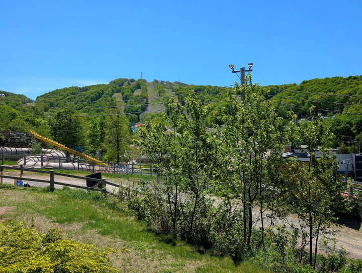 Le Vrai Ski In Ski Out à Bromont - Bromont