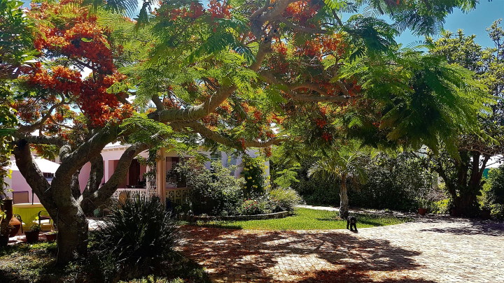 Happy House Apartment - Bermuda