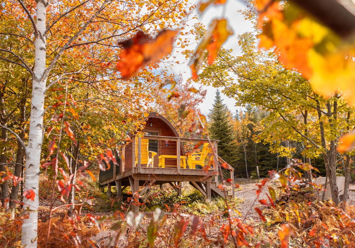 Hummingbird Pod At Sally's Brook Luxury Eco-resort - Cape Breton Island