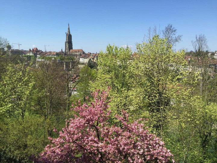 Top Location Near Center Of Berne - Bern