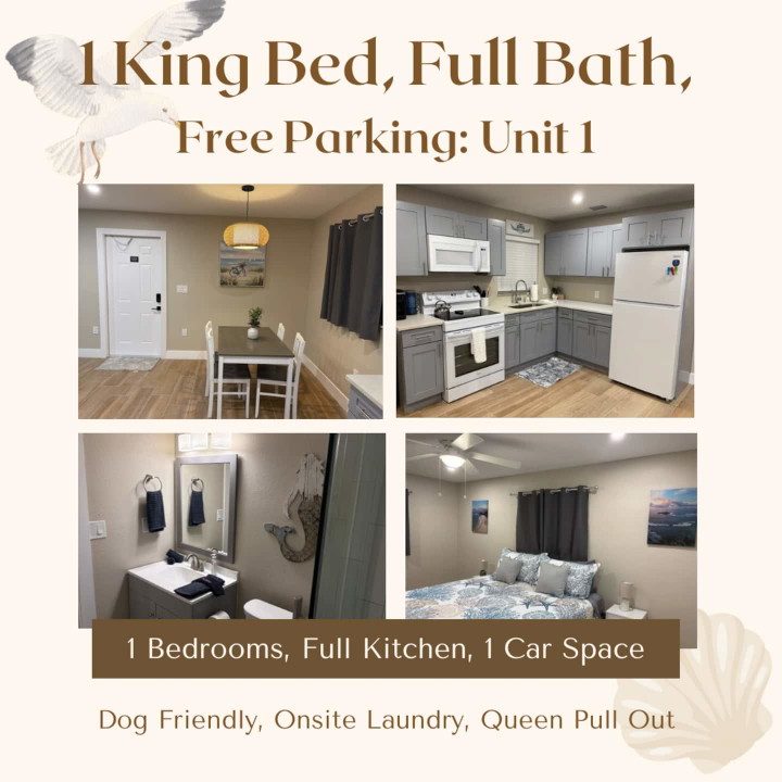 Coastal Escape 1 L 1 Br Steps To St. Pete Beach - St. Pete Beach, FL