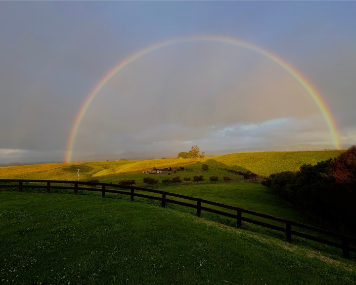 A Place By The Shire - Matamata