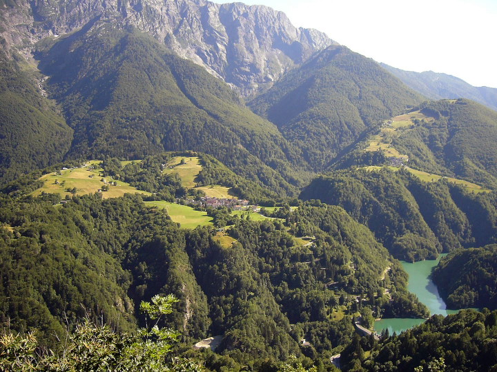At The Sciresée, At The Foot Of The Protected Forest - Switzerland