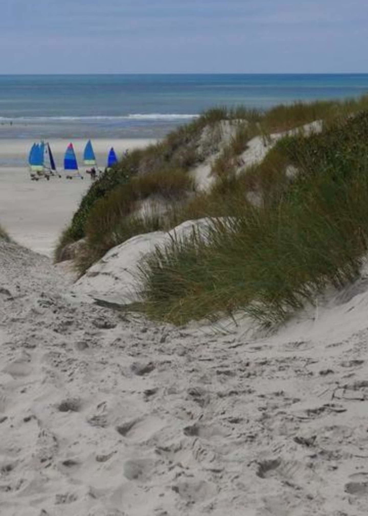 Stella/le Touquet : T2 Wi-fi, Entre Mer Et Pinède - Stella Plage
