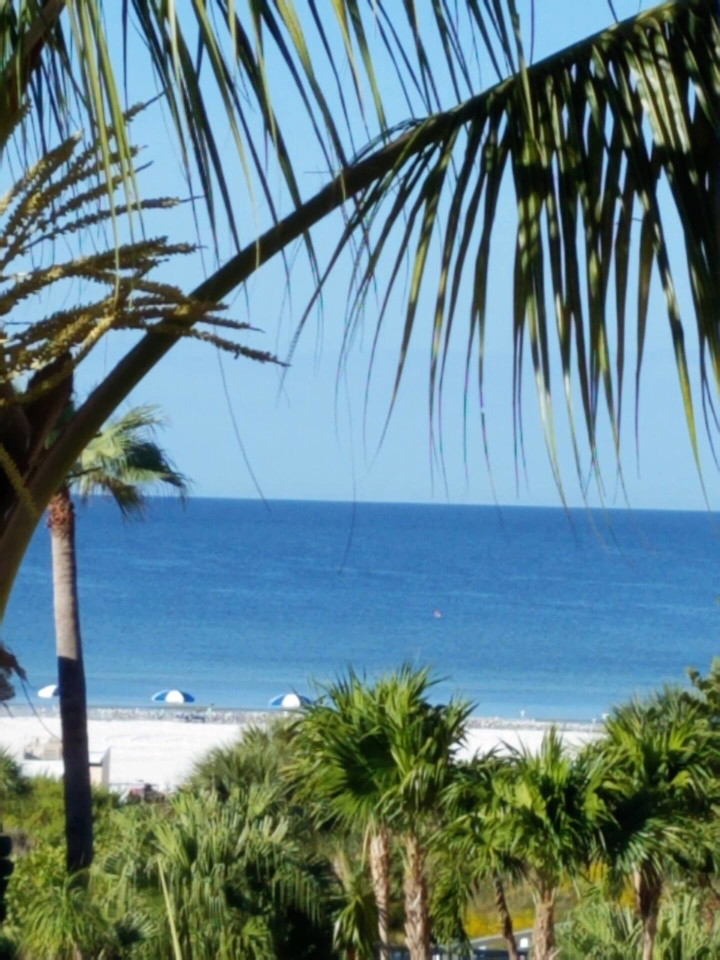 Beachfront Luxury Condo - Marco Beach Ocean Resort - Marco Island, FL