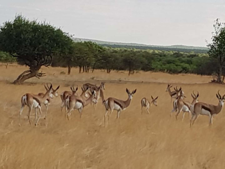 Eco-gamefarm, Private Self-catering Chalets - Namibia