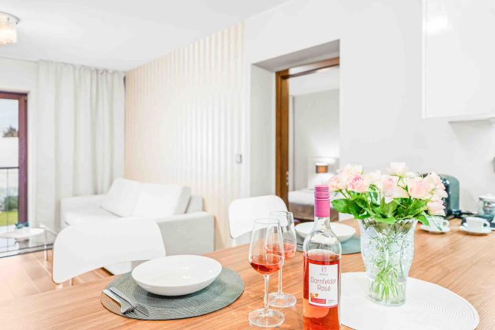 Spacious Two-room Apartment 52m2 - Pilsen