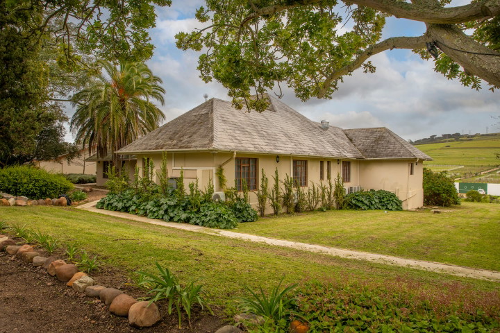 Three-bedroom Lavender Farmhouse In Stellenbosch - Cape Town