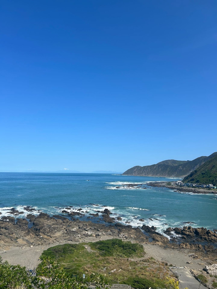 Cosy Flat With Sea Views - Wellington