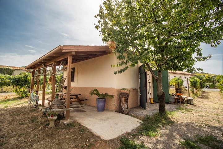 House In The Vineyard - Frascati
