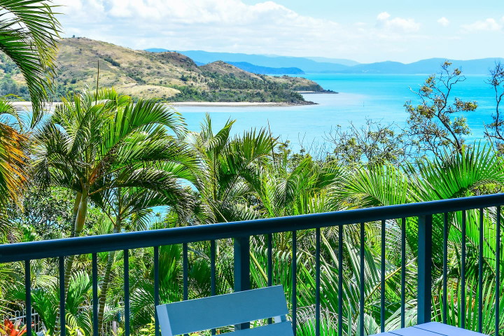Heliconia Grove 7 - Hamilton Island