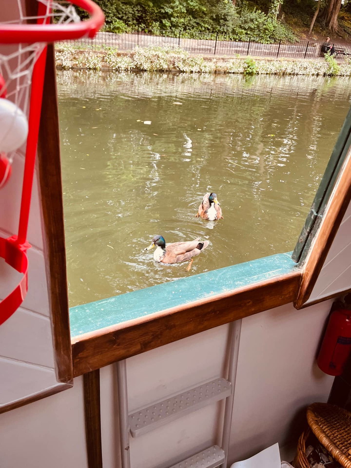 Narrowboat ~Hackney N1 E2 E8 - Londres