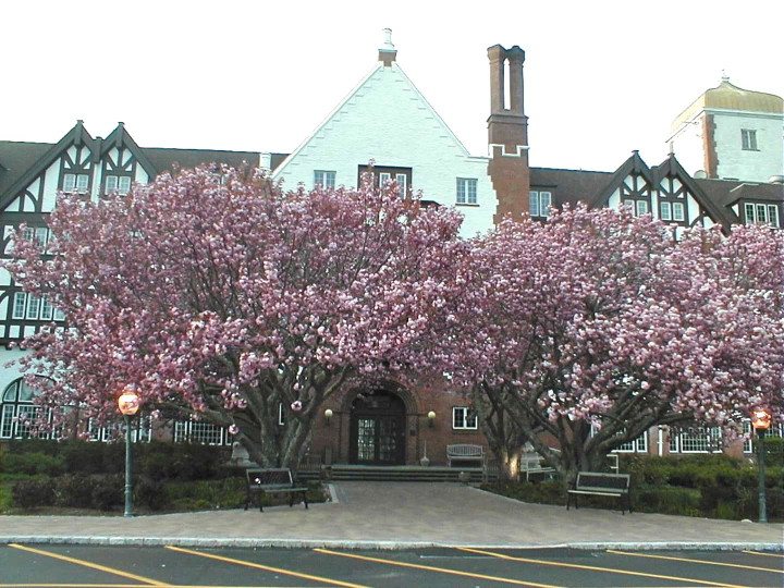 Deluxe Studio Apt@the Montauk Manor - Montauk, NY