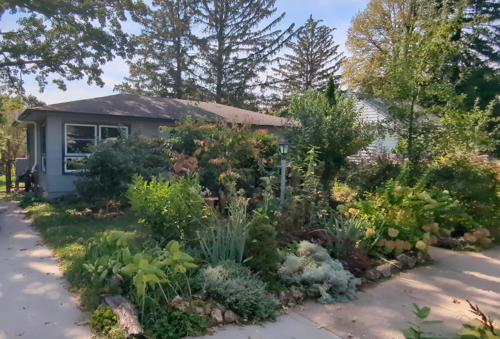 Maple St. King Suite - Free Daytime Ev Charging! - Viroqua, WI
