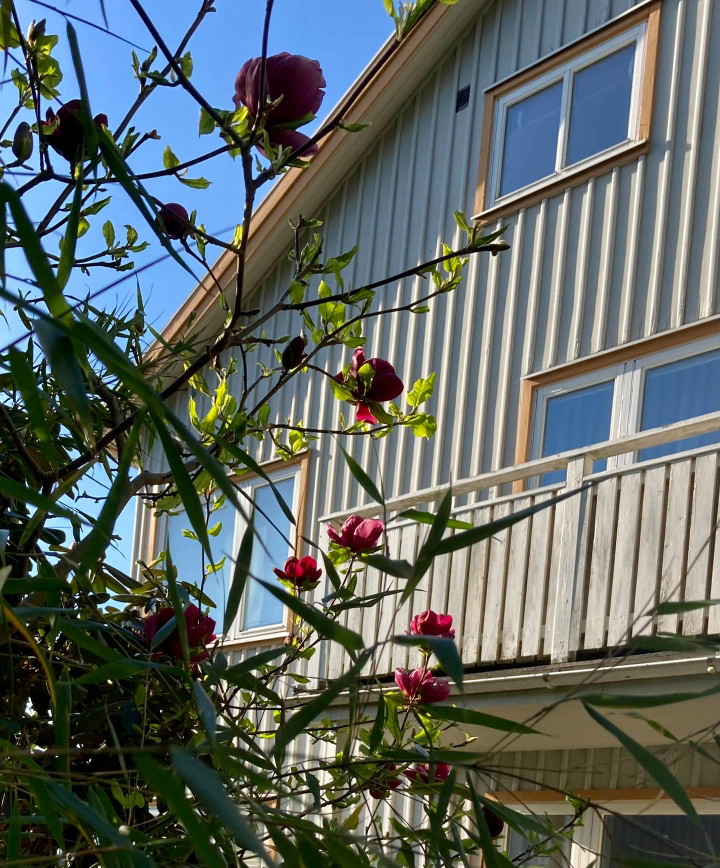 Rymligt Loft Nära Innerstad Och Delsjö Reservaten - Gothenburg