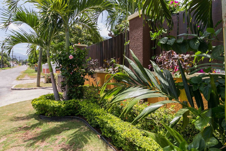 Beautiful Suite With Fishpond, Kingston - Kingston
