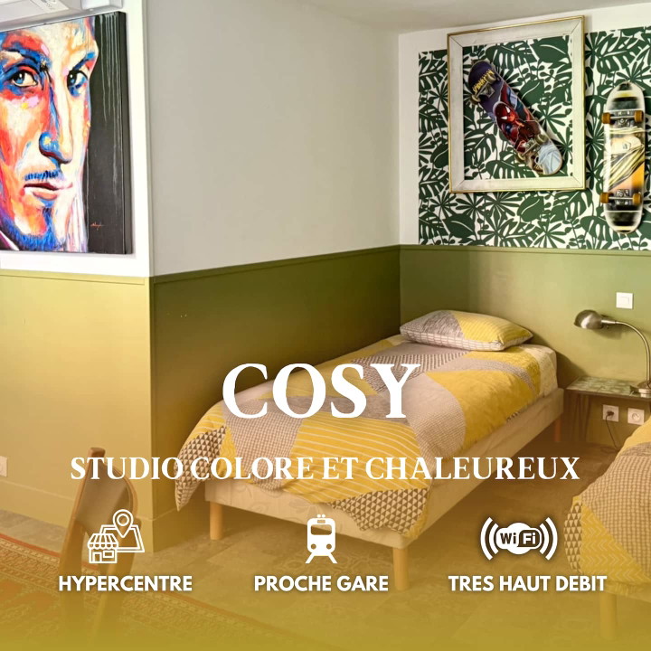 Cosy Studio Clim Wifi Les Glycines - Troyes