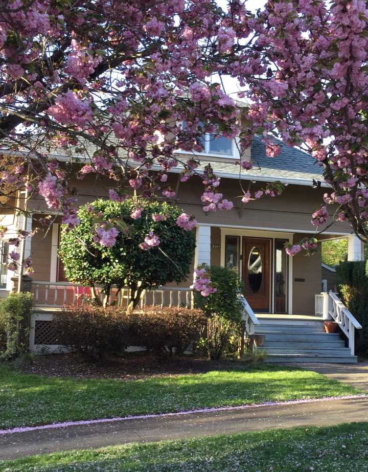 Comfy & Eclectic Craftsman Home; Inner Se Portland - Portland, OR