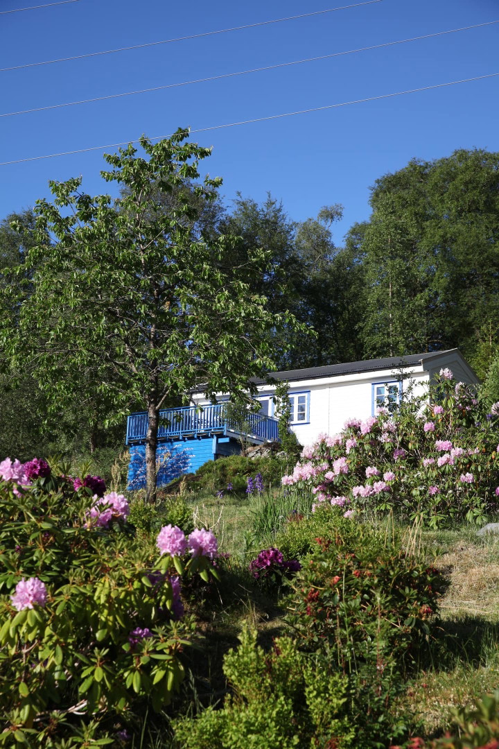 Villa Kunterbunt Junior - Bergen