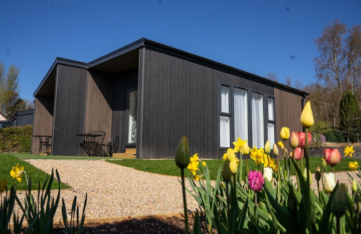 Birch Studio Cabin, Balmaha (Pets Ok/no Hot Tub) - Rowardennan