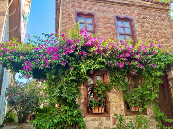 Casa Bougainville Historic Stone House Central Ayvalık - Ayvalık
