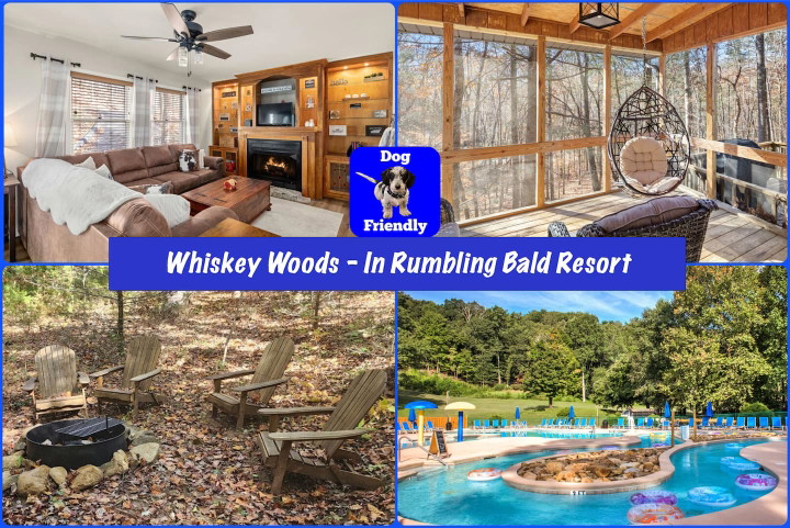 Whiskey Woods - Mr Lake Lure Vacation Rentals - Black Mountain, NC