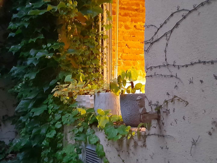 La Maison De Maila - Toulouse