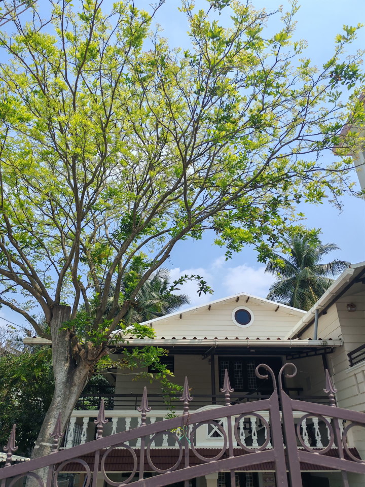 The Sparrow House_traditional 1bhk(ff)_kumbakonam - Kumbakonam
