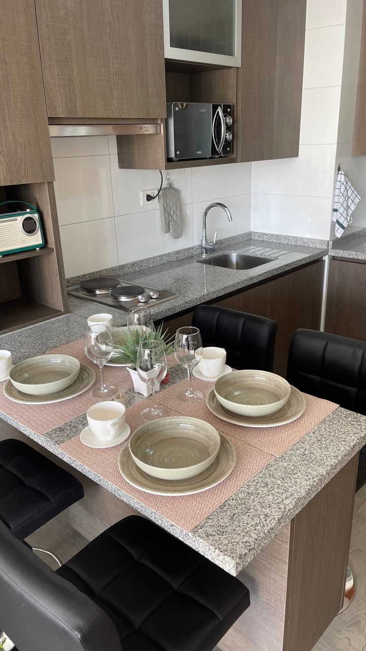 Private Apartment In Santiago! (Subway 2 Minutes) - Independencia