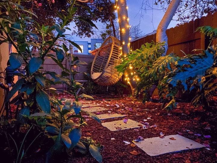 Rose Garden Cottage Uc Berkeley & Sf With Parking - Oakland, CA