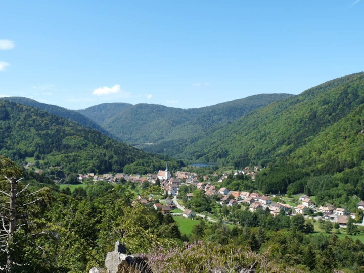 Appart.4 Pers. Au Coeur Des Vosges Alsaciennes - Lac d'Alfeld