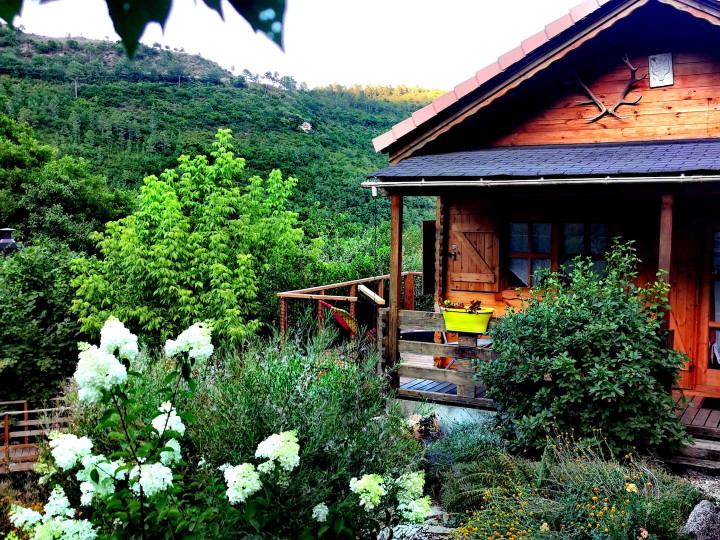 Domaine Casa Di L'apa Chalet Trappeur U Castagnu - Corte