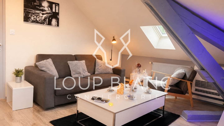Like At Home Equipped One-bedroom Flat Centre & Techn'hom - Belfort