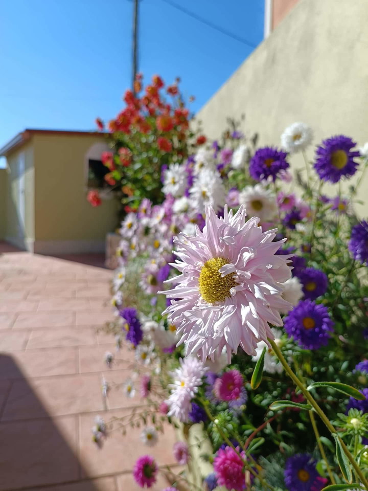 A Beautiful Little House 10 Minutes From The Beach. - Cangas
