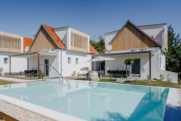 Luxus Chalet Mit Pool Am Weinberg - Burgenland