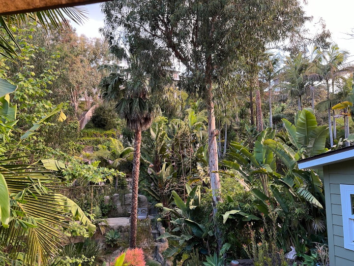 New! Canyon Retreat W/view - Walk To Beach & Town - Laguna Beach, CA