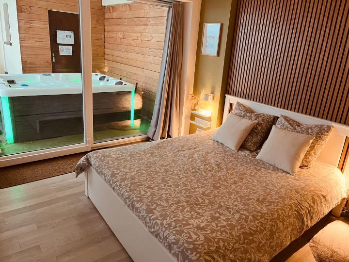 Well-being Apartment In Colmar - Colmar