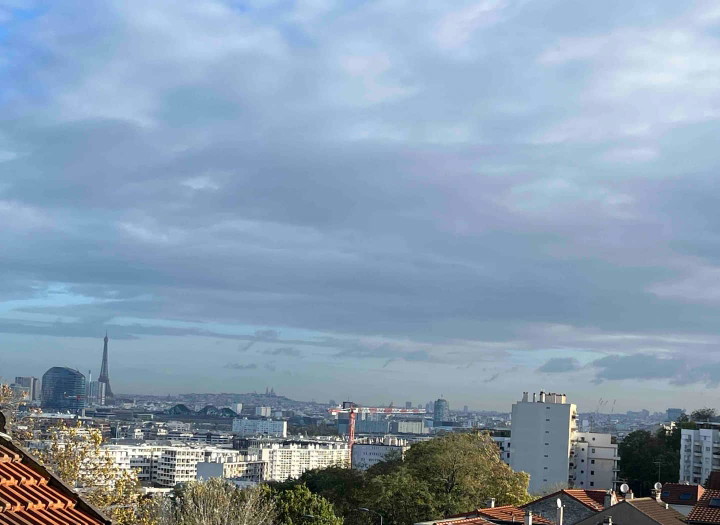 Le Voisin De Penseur Rodin - Clamart