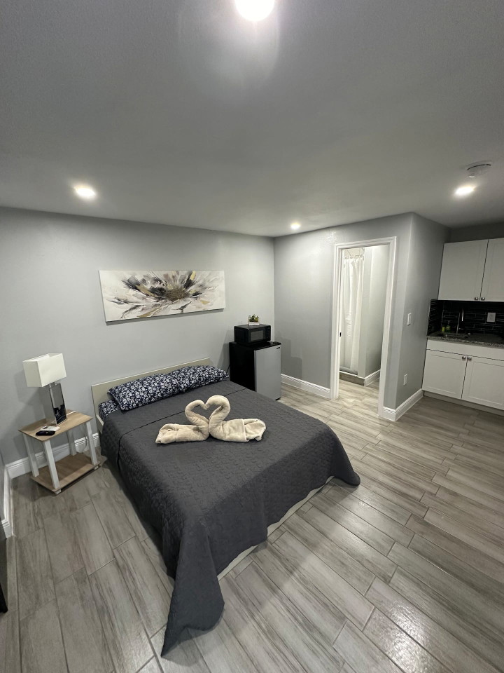 Citrus Park Tampa Get Away Alaje Apartment - Tampa, FL