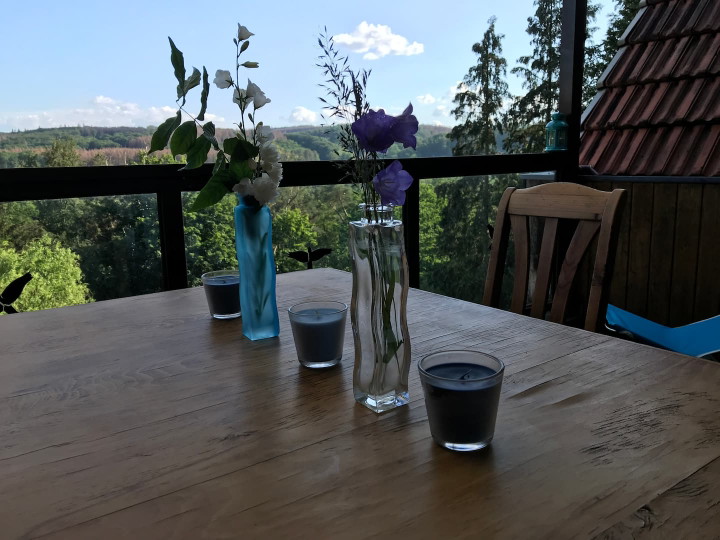 Foresight With Forest View. Near Wildlife Park, Golf Club - Warstein