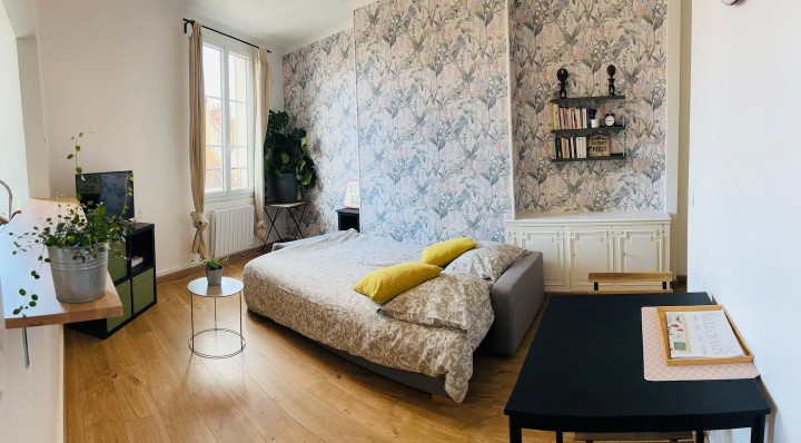 Apartment In The Heart Of Town, Pedestrian Street, Insead - Fontainebleau