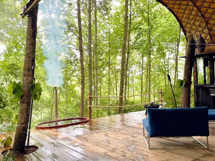 ¡Sumérgete En El Bosque! (Citlalapa) - Xico