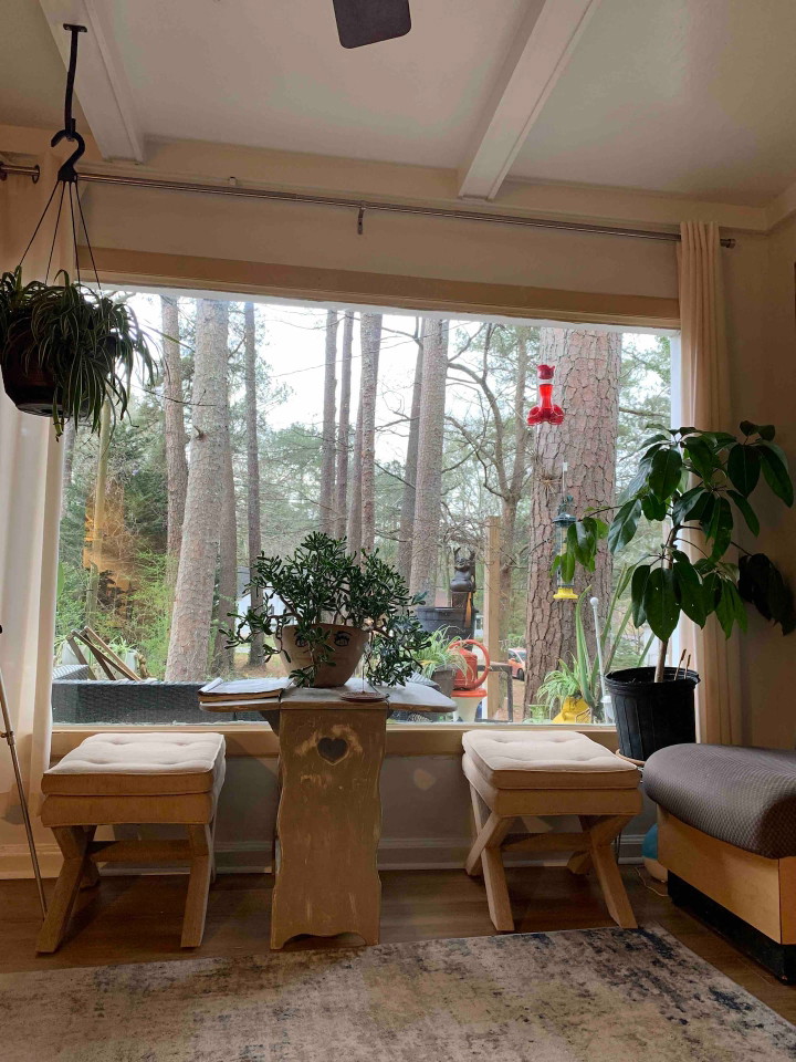 Juanito's Art And Nature Retreat - Atlanta, GA