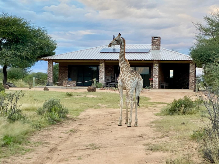 Luxury Private Safari Retreat - Namibia