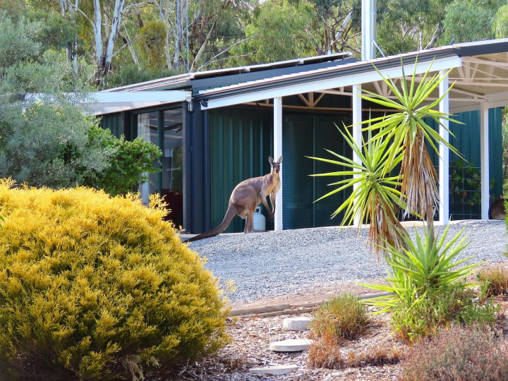 Yarrabee Retreat, Close To Riesling Trail. - Clare