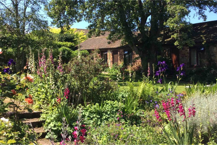 Rustic Country Cottage: Spaxton Quantock Hills - Bridgwater