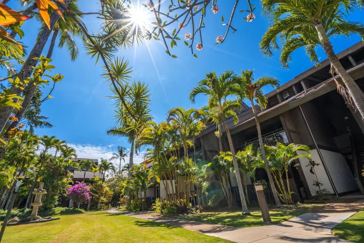 *New* Tropical & Lush Paradise Vistas - Maui, HI