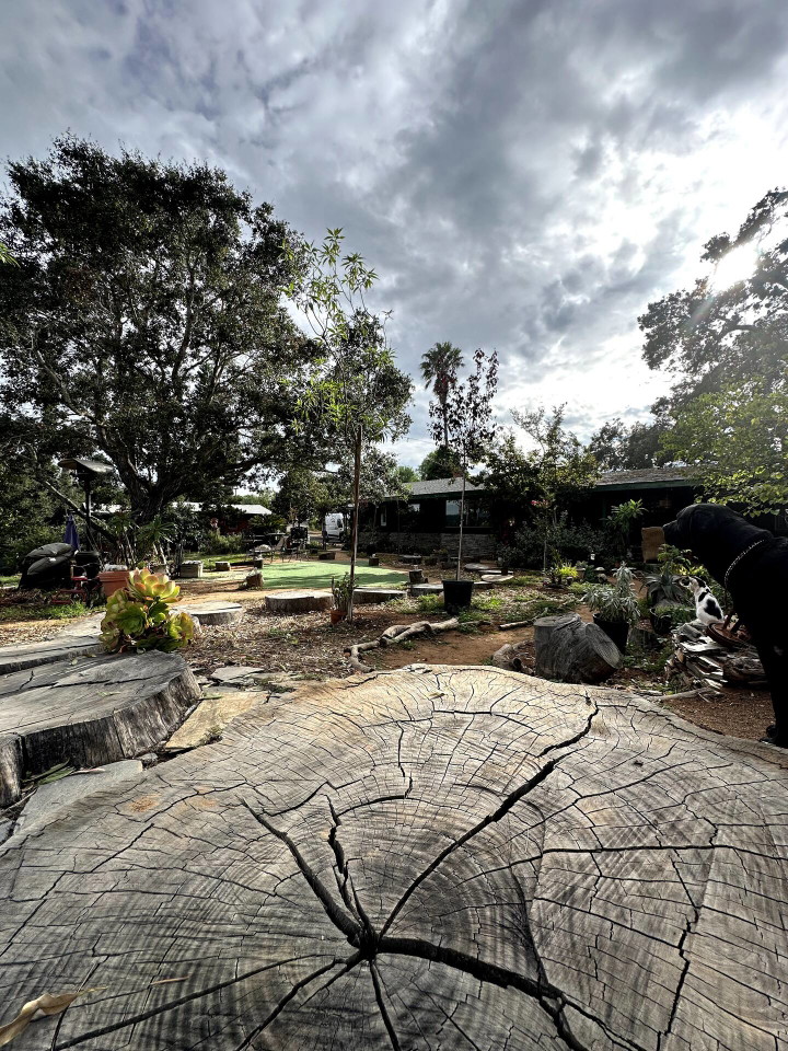 Retreat Studio Nature Sanctuary - Vista, CA