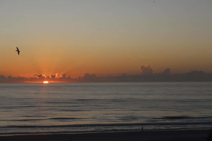 Pasos A Una Hermosa Playa Magníficas Vistas Al Mar - Port Orange, FL