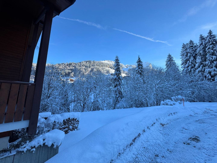 Appartement T2-3 En Rez De Jardin (4 à 6 Pers) - La Clusaz